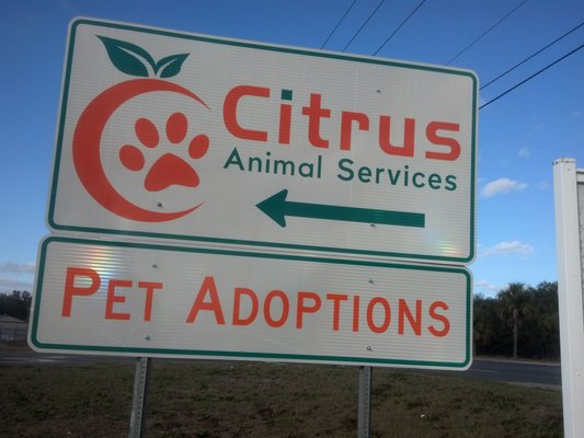 CITRUS COUNTY ANIMAL SHELTER - Updated December 2025 - 4030 S Airport ...