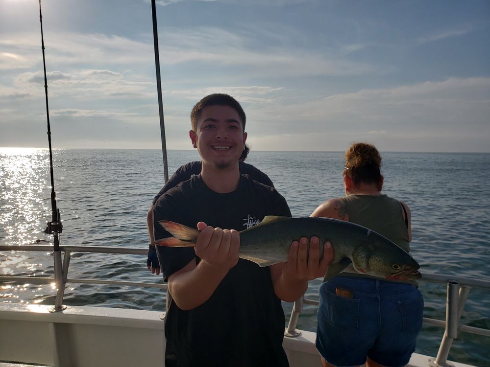 SUNBEAM FLEET - Updated December 2025 - 46 Photos & 17 Reviews - 15 1st ...