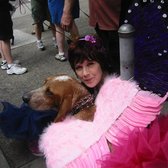 ROCKET DOG RESCUE - Updated November 2025 - 86 Photos & 201 Reviews ...