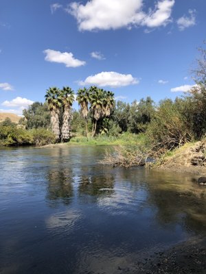 KERN RIVER CAMPGROUND - 49 Photos & 43 Reviews - 13775 Lake Ming Rd ...
