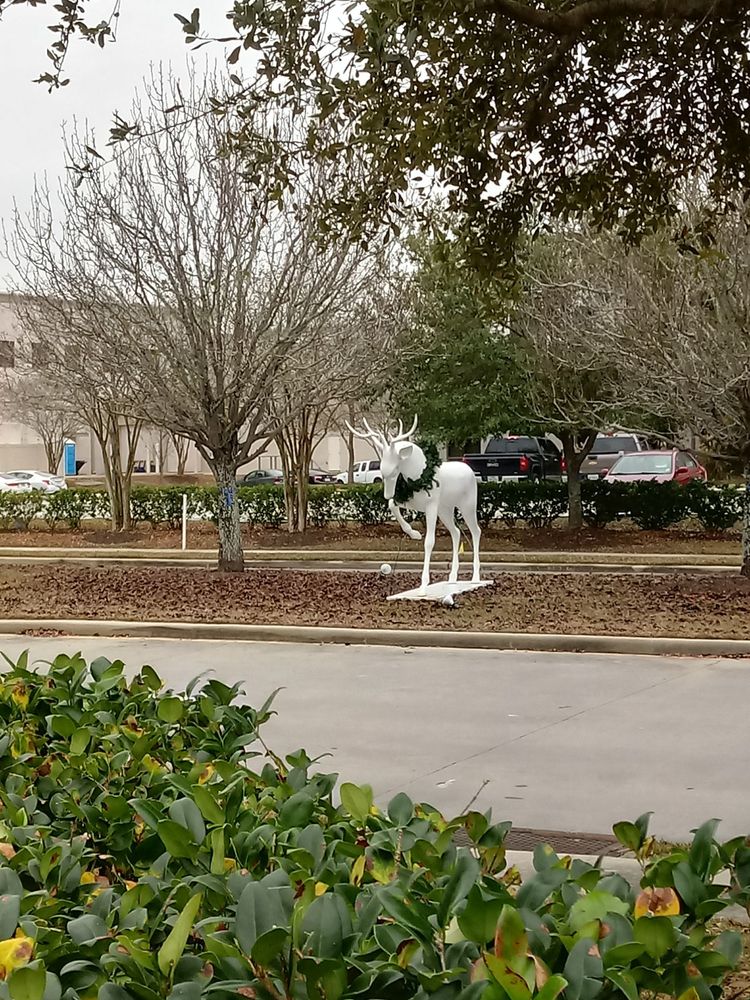 TOWNE CENTER AT CEDAR LODGE - Updated January 2026 - 10 Photos - 2380 ...