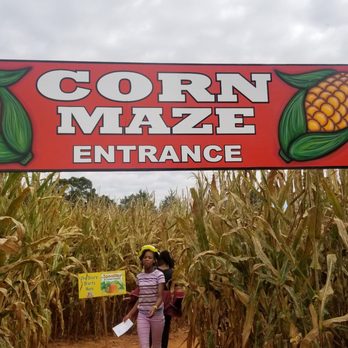 PATTERSON FARM MARKET & TOURS - Updated July 2024 - 86 Photos & 26 ...