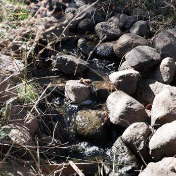 WEST RIDGE NATURE PARK - Updated September 2025 - 208 Photos & 19 ...