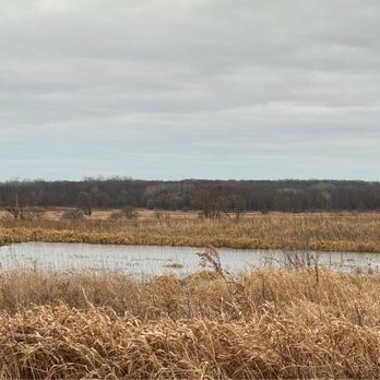 VAN PATTEN WOODS FOREST PRESERVE - Updated December 2025 - 45 Photos ...