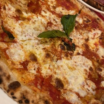 DON CHEECH - Updated August 2024 - 54 Photos & 40 Reviews - 1271 Bay St ...