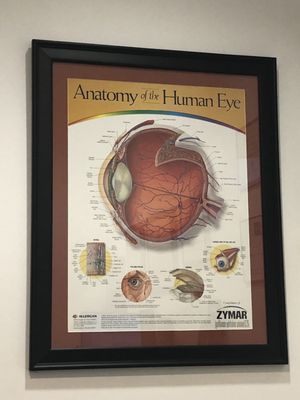 RICHLIN, OD & ASSOCIATES - Updated January 2025 - 34 Photos & 664 ...