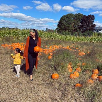 WILKENS FRUIT AND FIR FARM - Updated September 2024 - 345 Photos & 184 ...