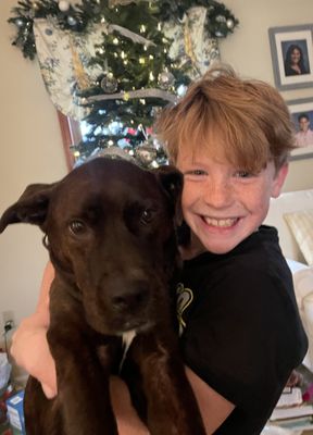 THE PENNSYLVANIA SPCA - Updated January 2026 - 31 Photos & 109 Reviews ...