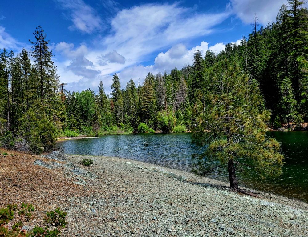 SUGAR PINE RESERVOIR - Updated August 2024 - 71 Photos & 18 Reviews ...