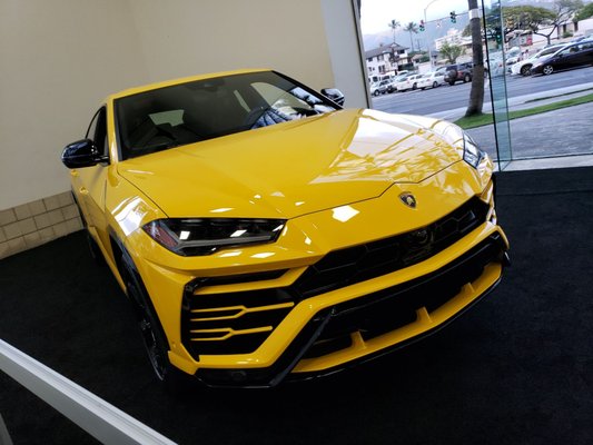 FIRST HAWAIIAN INTERNATIONAL AUTO SHOW - 563 Photos & 32 Reviews - 1801 ...
