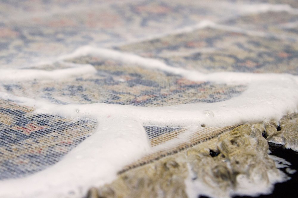 FIBERCARE - Updated December 2025 - 28 Photos - 925 Rosewood St ...