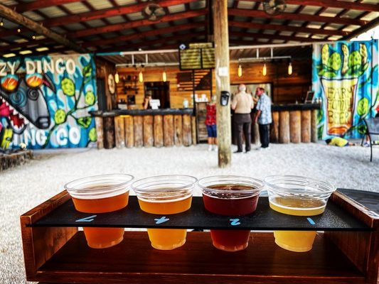 CRAZY DINGO BREWING - 59 Photos & 29 Reviews - Breweries - 8500 ...