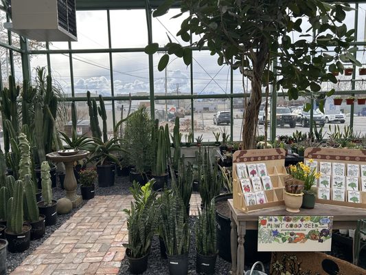 CACTUS & TROPICALS - Updated January 2026 - 24 Photos - 7696 S Main St ...