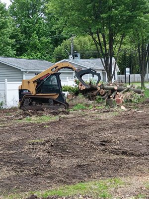 WEST TREE SERVICES - Updated August 2025 - 35 Photos - Severn, Maryland ...