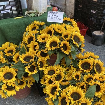 PHILLIPS FARMS - Updated November 2025 - 91 Photos & 24 Reviews - 91 ...