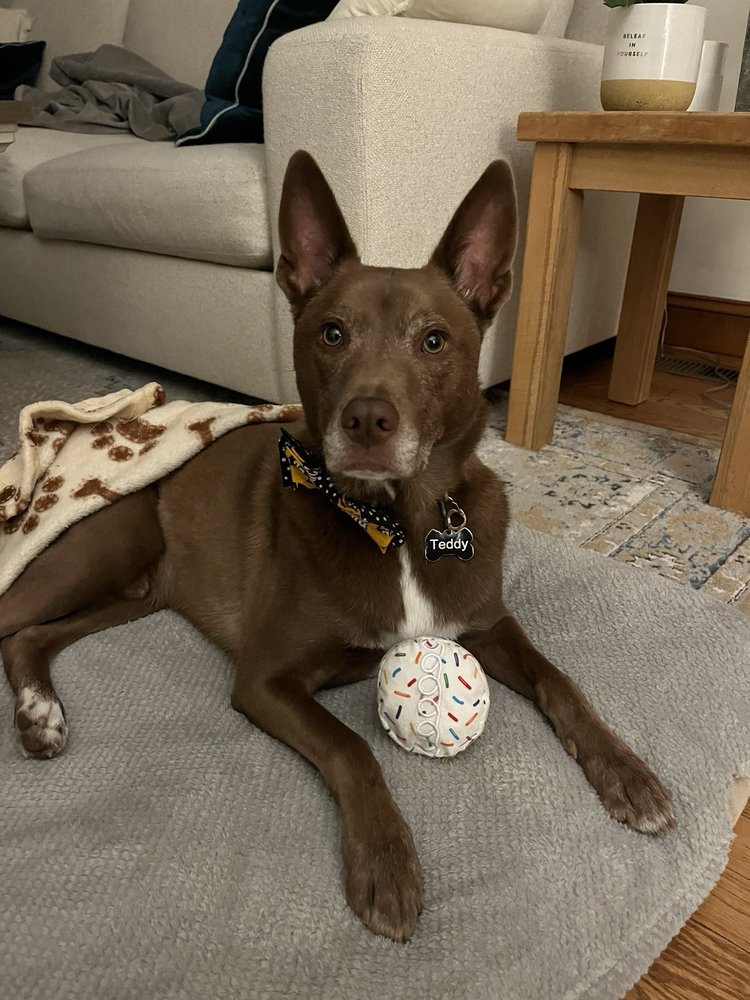 SCENTHOUND - Updated December 2025 - 15 Reviews - 9448 Main St, Fairfax ...