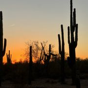 MACDONALD’S RANCH - 381 Photos & 225 Reviews - 26540 N Scottsdale Rd ...