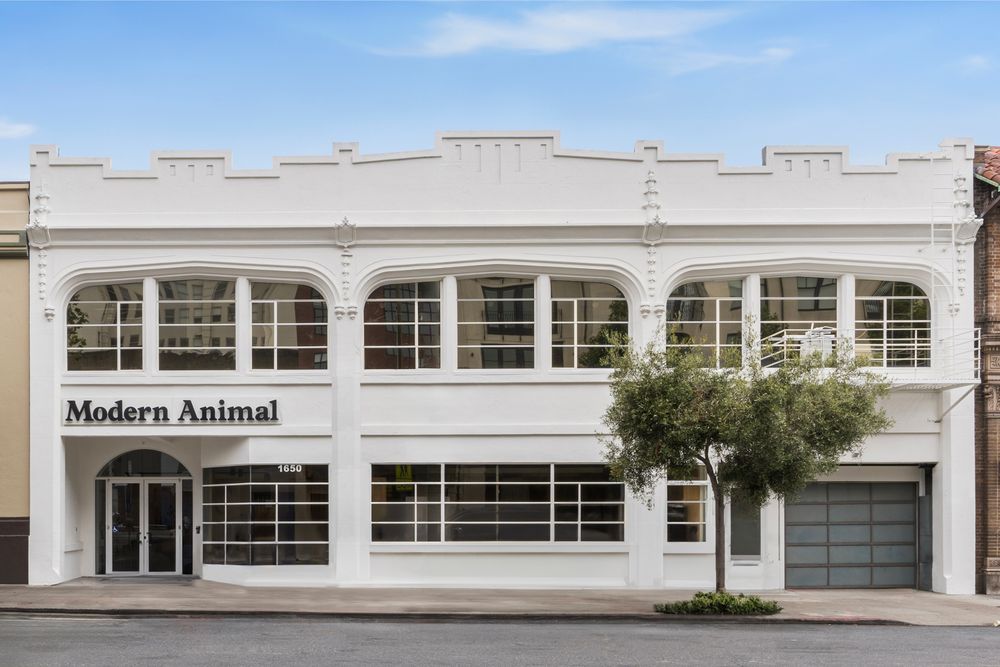 MODERN ANIMAL - Updated December 2025 - 37 Photos & 45 Reviews - 1650 ...