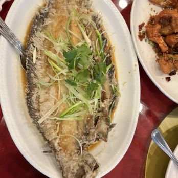 CANTON MANOR - Updated June 2025 - 851 Photos & 148 Reviews - 220-15 ...