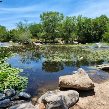 ABQ BIOPARK BOTANIC GARDEN - Updated December 2025 - 1307 Photos & 168 ...