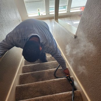 PRIZE PEST CONTROL - Updated December 2025 - 27 Photos & 26 Reviews ...