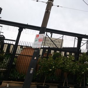 GARDENWORLD NURSERY - Updated April 2025 - Springvale Rd, Keysborough ...