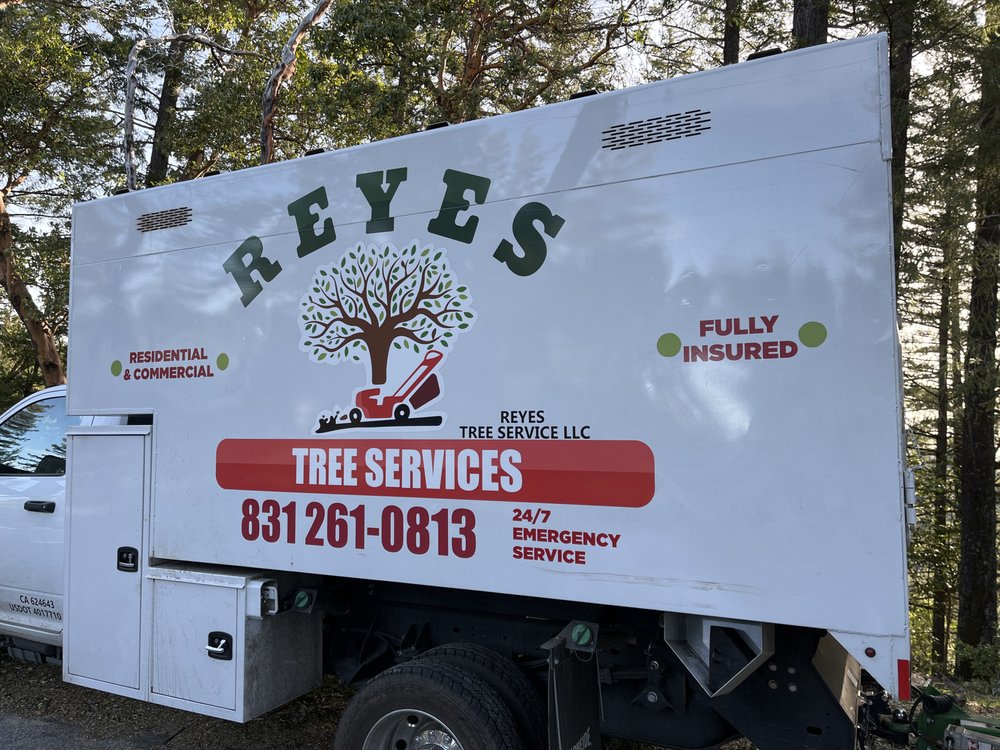 REYES TREE SERVICE - Updated June 2026 - San Jose, California - Tree ...