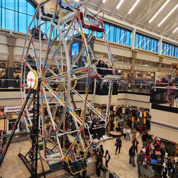 SCHEELS - Updated October 2024 - 662 Photos & 114 Reviews - 3199 W ...