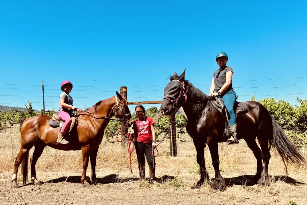 SAM AND SOCKS - Updated September 2025 - 48 Photos - Gilroy, California ...