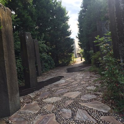 BLACK RIVER RIPARIAN FOREST AND WETLAND - Updated October 2025 ...