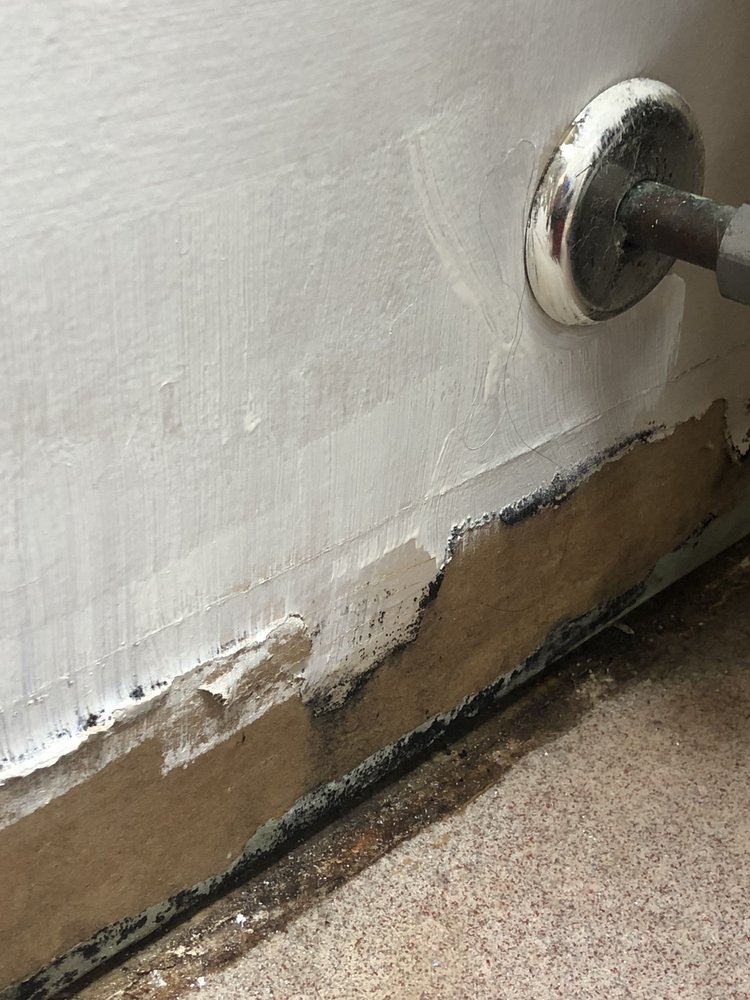 ANIMAL MOTEL - 10 Photos & 15 Reviews - Pet Stores - 13175 W Silver ...