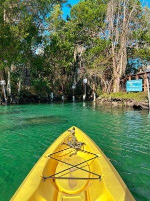 CRYSTAL RIVER KAYAK COMPANY - Updated October 2025 - 237 Photos & 212 ...