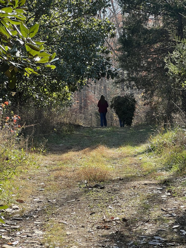 HANOVER PINES CHRISTMAS TREE FARM - Updated December 2025 - Beaverdam ...