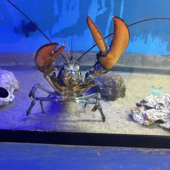 BIOMES - Updated September 2025 - 145 Photos & 87 Reviews - 6640 Post ...