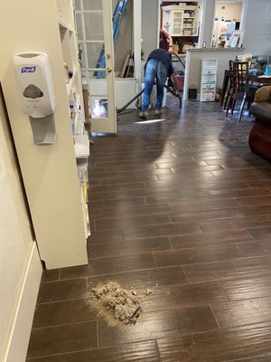 EVERGUARD HOME INSULATION - Updated September 2024 - 106 Photos & 375 ...