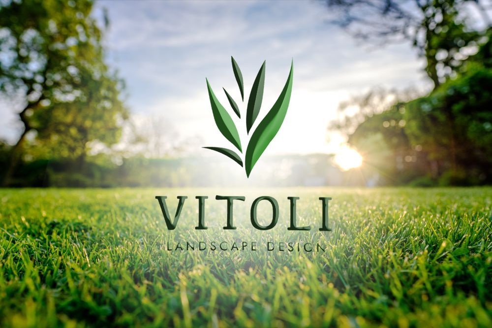 VITOLI - Updated August 2025 - 37 Photos - 2100 Geng Rd, Palo Alto ...