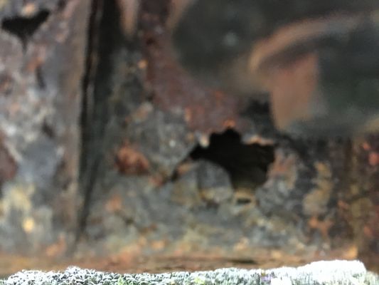 LEMON SQUAD - Updated October 2025 - 93 Photos & 380 Reviews - Los ...