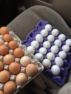 GOLDEN FRESH EGG RANCH - 37 Photos & 45 Reviews - Specialty Food - 8332 ...