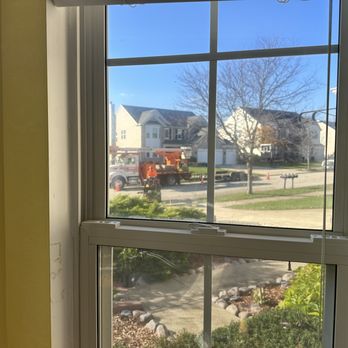 HOMER TREE CARE - Updated December 2025 - 27 Photos & 40 Reviews ...