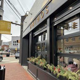 ANTHOS - Updated December 2025 - 417 Photos & 188 Reviews - 3803 Willow ...