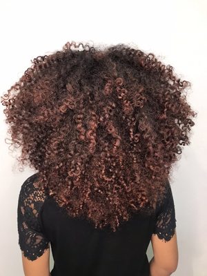 RADICALLY CURLY - 141 Photos & 159 Reviews - 1600 W Warm Springs Rd ...