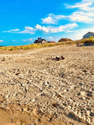 BROADKILL BEACH - Updated July 2025 - 37 Photos - 2-8 Broadkill Rd ...