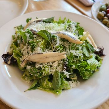 WYNONA - Updated December 2025 - 179 Photos & 70 Reviews - 819 Gerrard ...