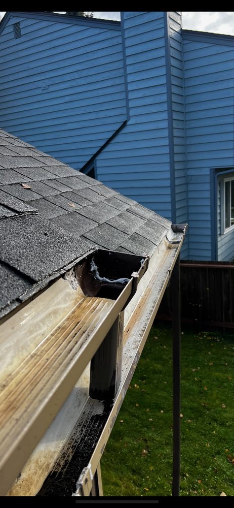 AK PEAK SERVICES - Updated July 2025 - Anchorage, Alaska - Gutter ...