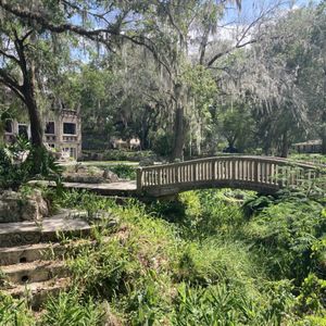 THE WONDER HOUSE - 39 Photos & 19 Reviews - 1075 Mann Rd, Bartow ...