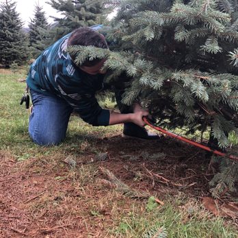 SNICKERS GAP CHRISTMAS TREE FARM - TEMP. CLOSED - Updated April 2025 ...