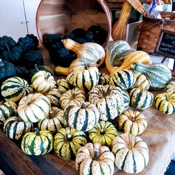 PRINGLES ORCHARD - Updated January 2026 - 14 Photos & 11 Reviews - 2697 ...