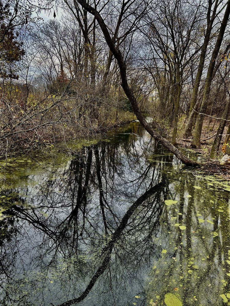 SPRINGBROOK NATURE CENTER - Updated October 2025 - 143 Photos & 28 ...