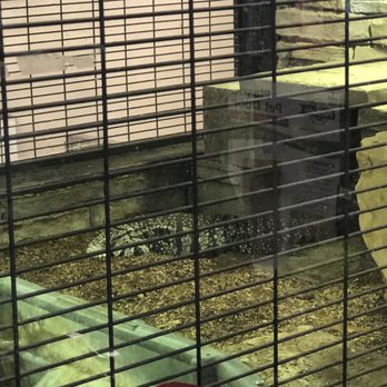 JUST PETS - Updated December 2025 - 67 Photos & 19 Reviews - 393 Main ...