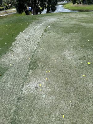 ATLANTIC NATIONAL GOLF CLUB - 22 Photos & 41 Reviews - 6400 Grand ...